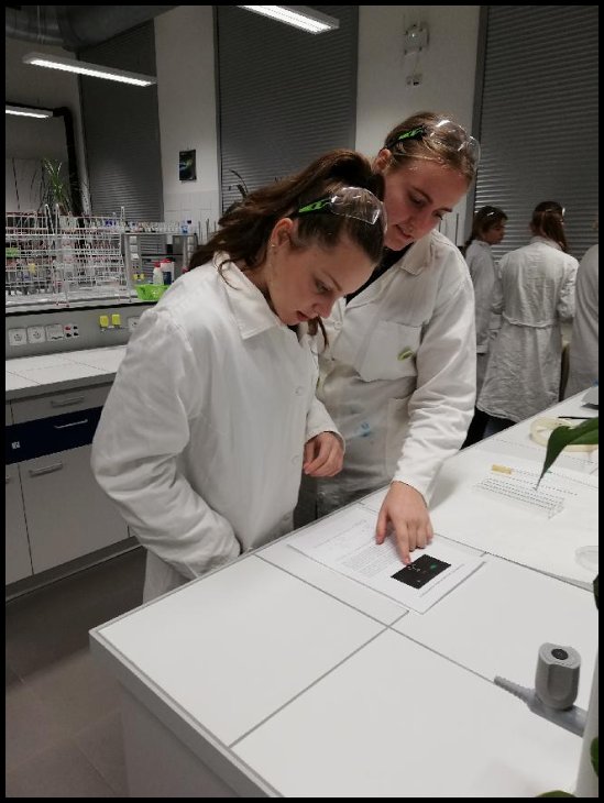 GLP -- Workshop ChemQuest 2023